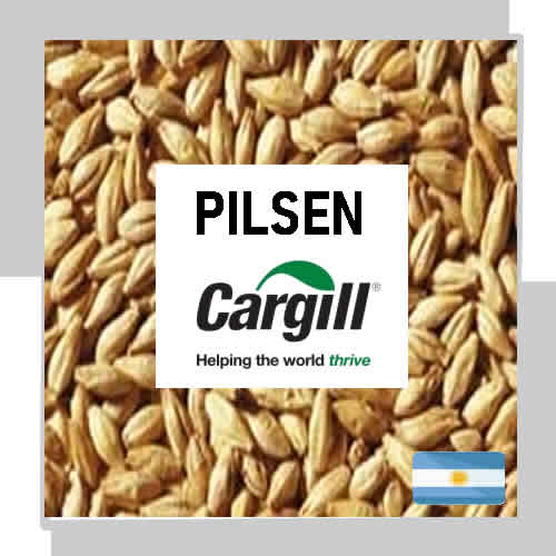 MALTA PILSEN X 5 KG – MOLIDA – Syan
